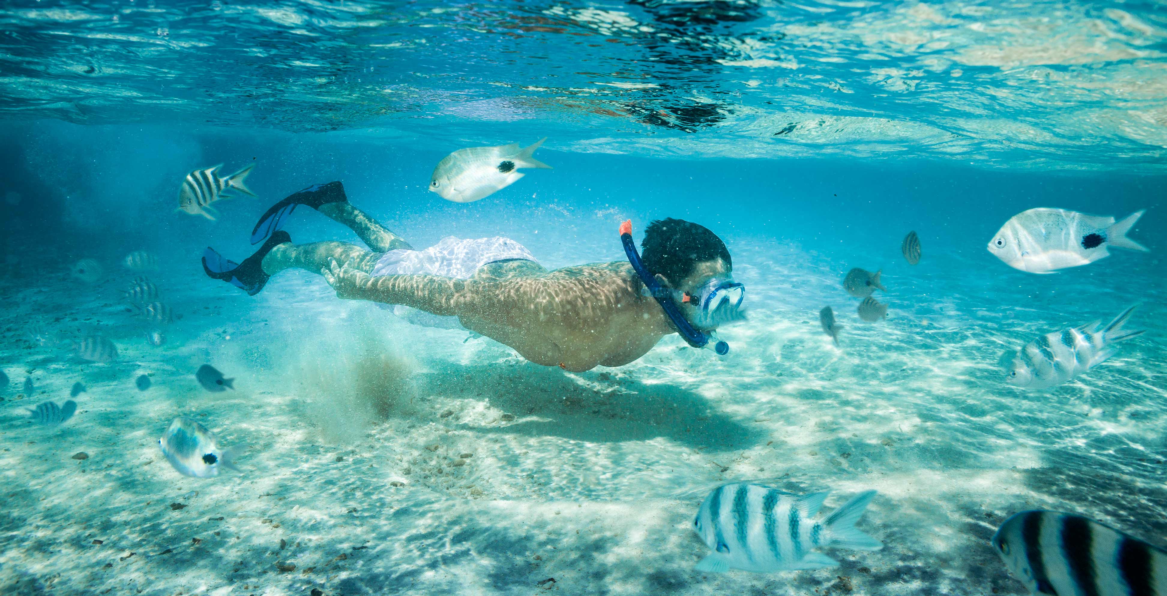 World's Best Places to Go Snorkelling | Club Med